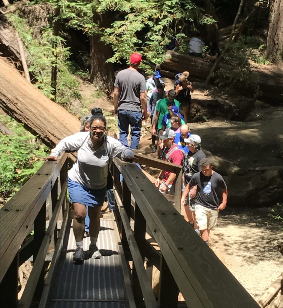Spam Jam Mt. Tam – Diablo Gazette